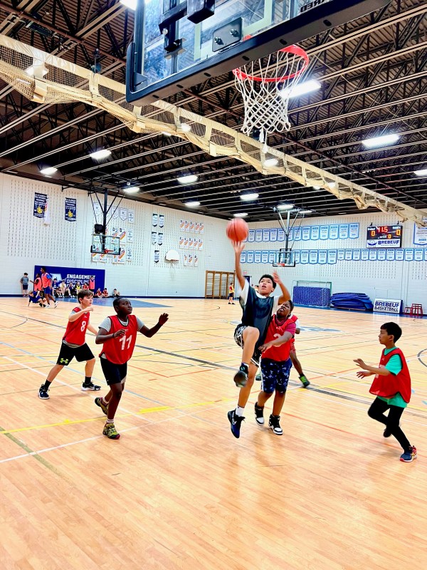 Pédagogique Basketball – Brebeuf basketball